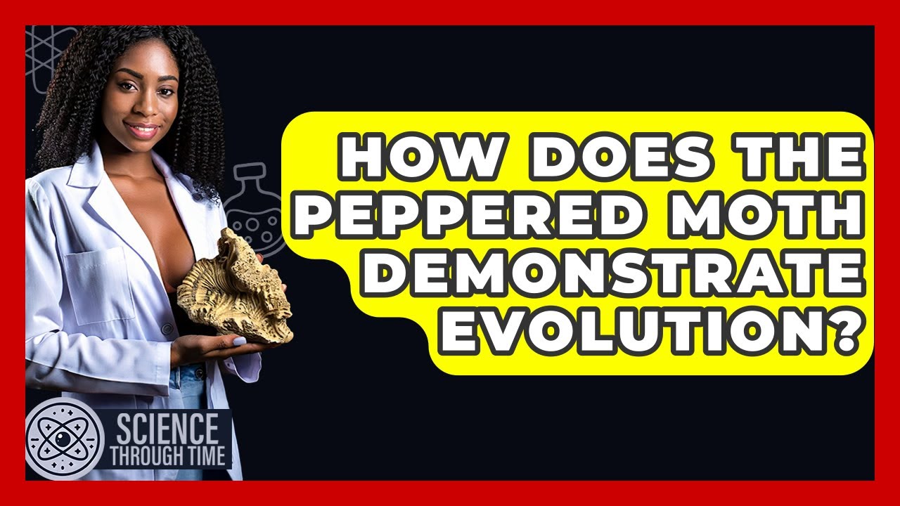 How Does The Peppered Moth Demonstrate Evolution? - Science Through ...