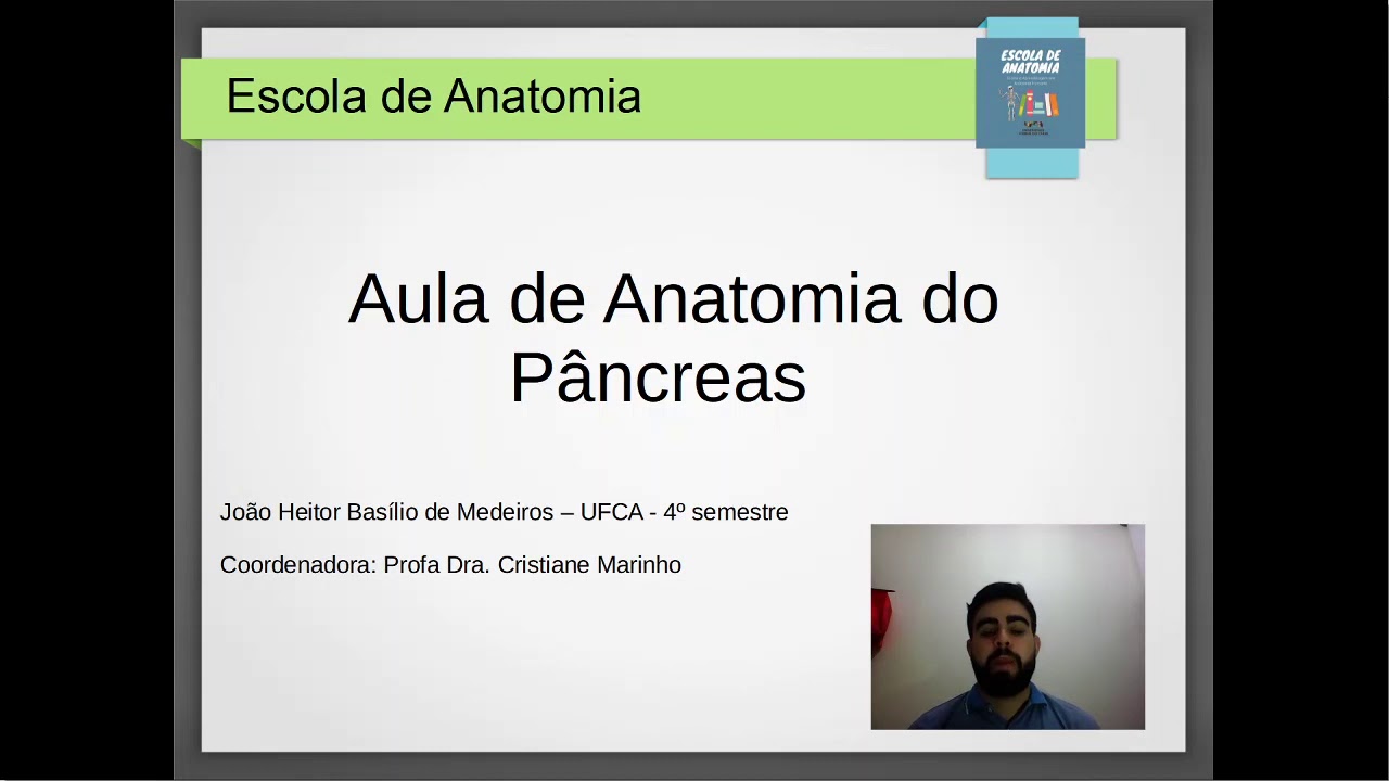 ESCOLA DE ANATOMIA. Aula: Pâncreas - YouTube