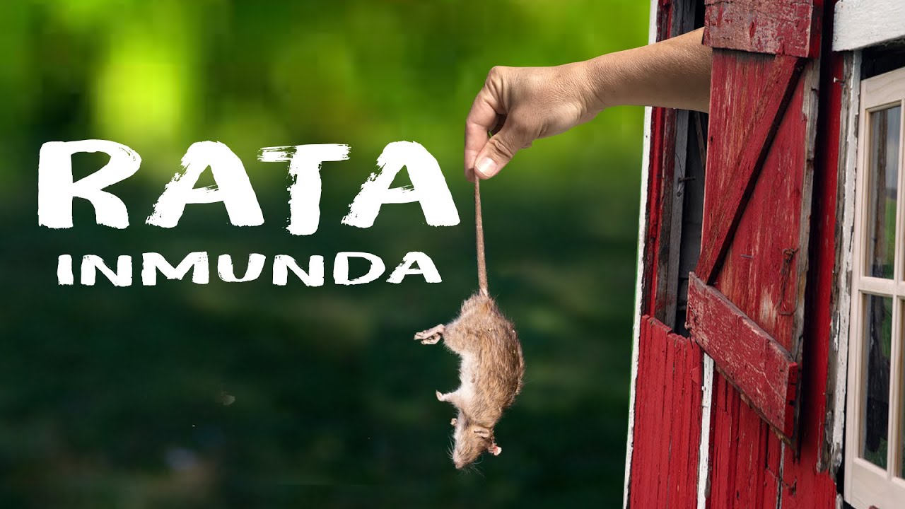 Marichal - Rata Inmunda - YouTube