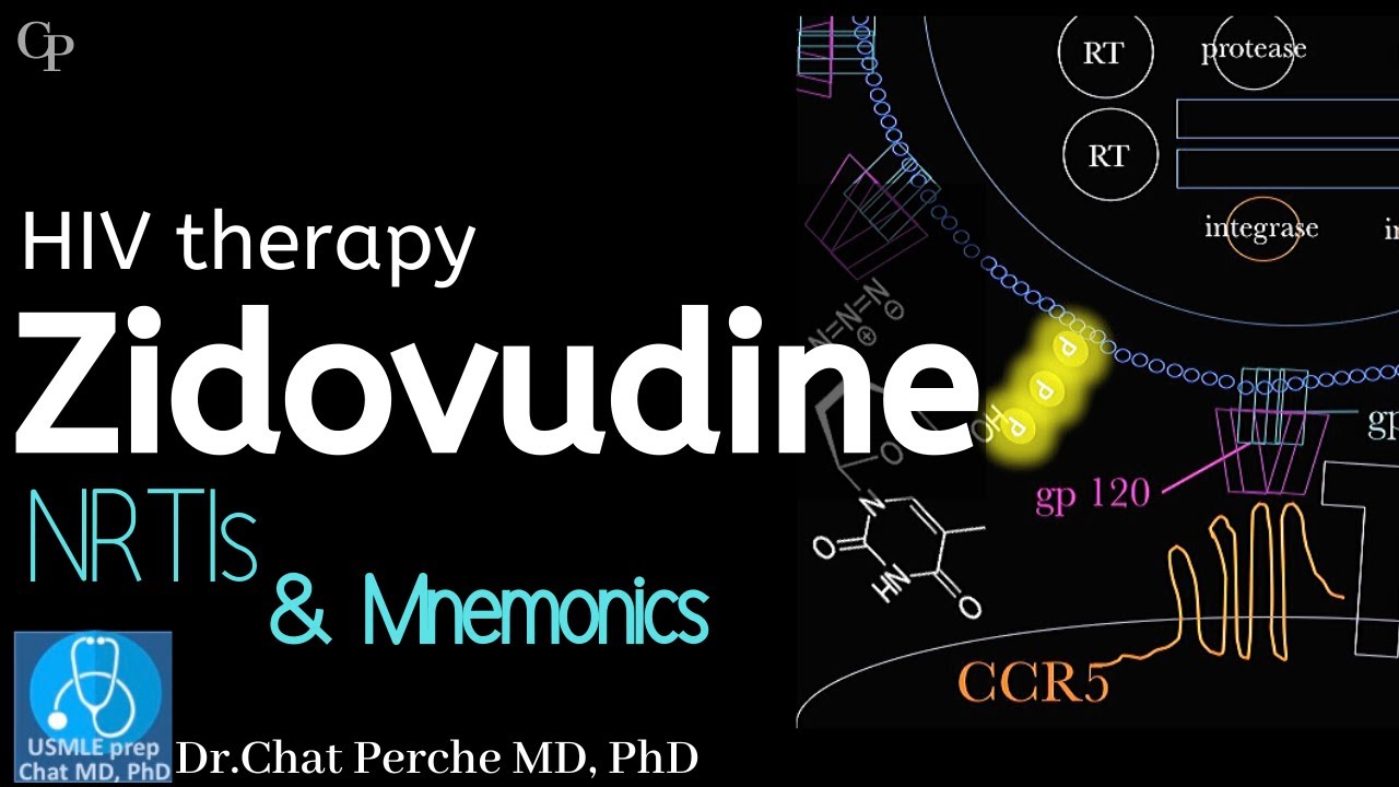 HIV therapy: Zidovudine (or AZT)/ NRTIs. Mechanism of Action and ...