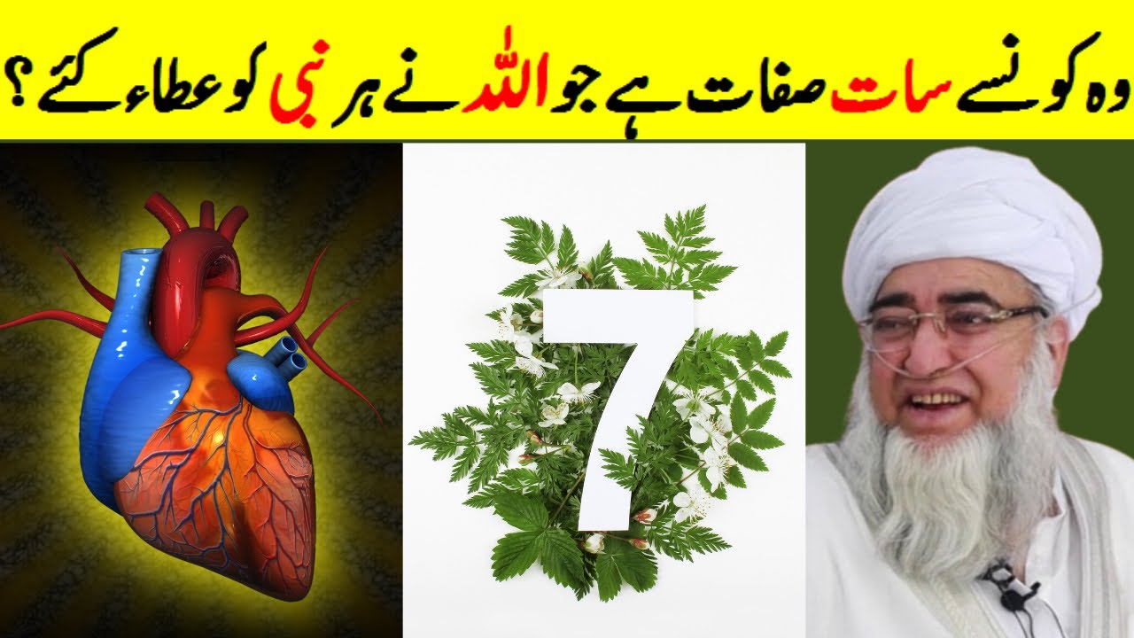 The attributes that Allah gave to every prophet | Story Of the prohpets ...