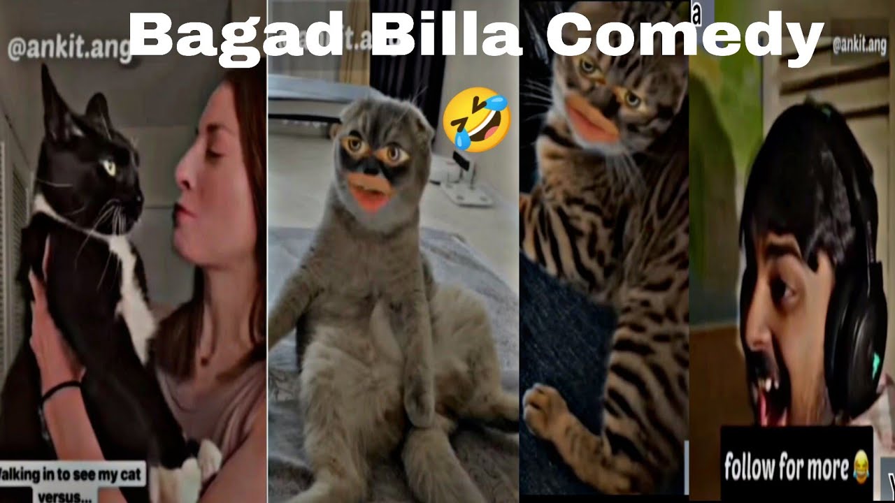 funny video Bagad Billa Comedy 🤣 bagad Billa funny 😂 video Billa Comedy ...