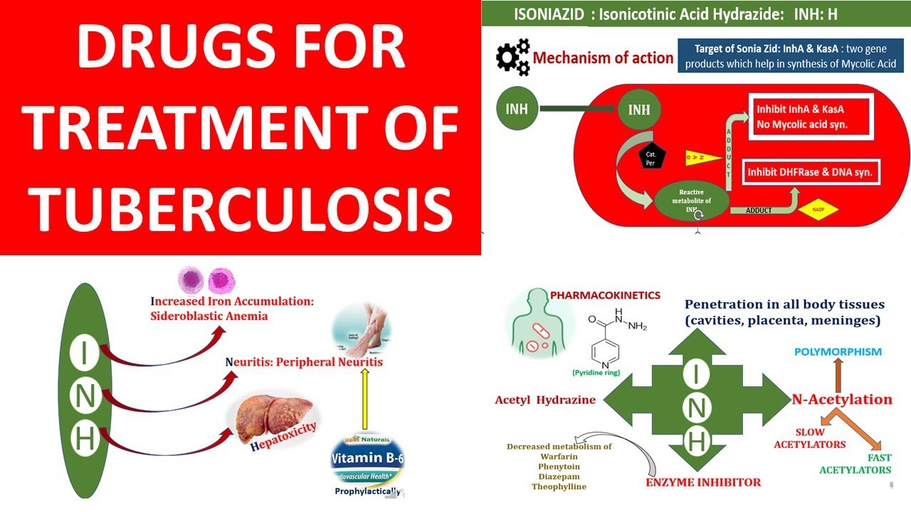 Antitubercular Drugs: Mnemonics:Part II - YouTube