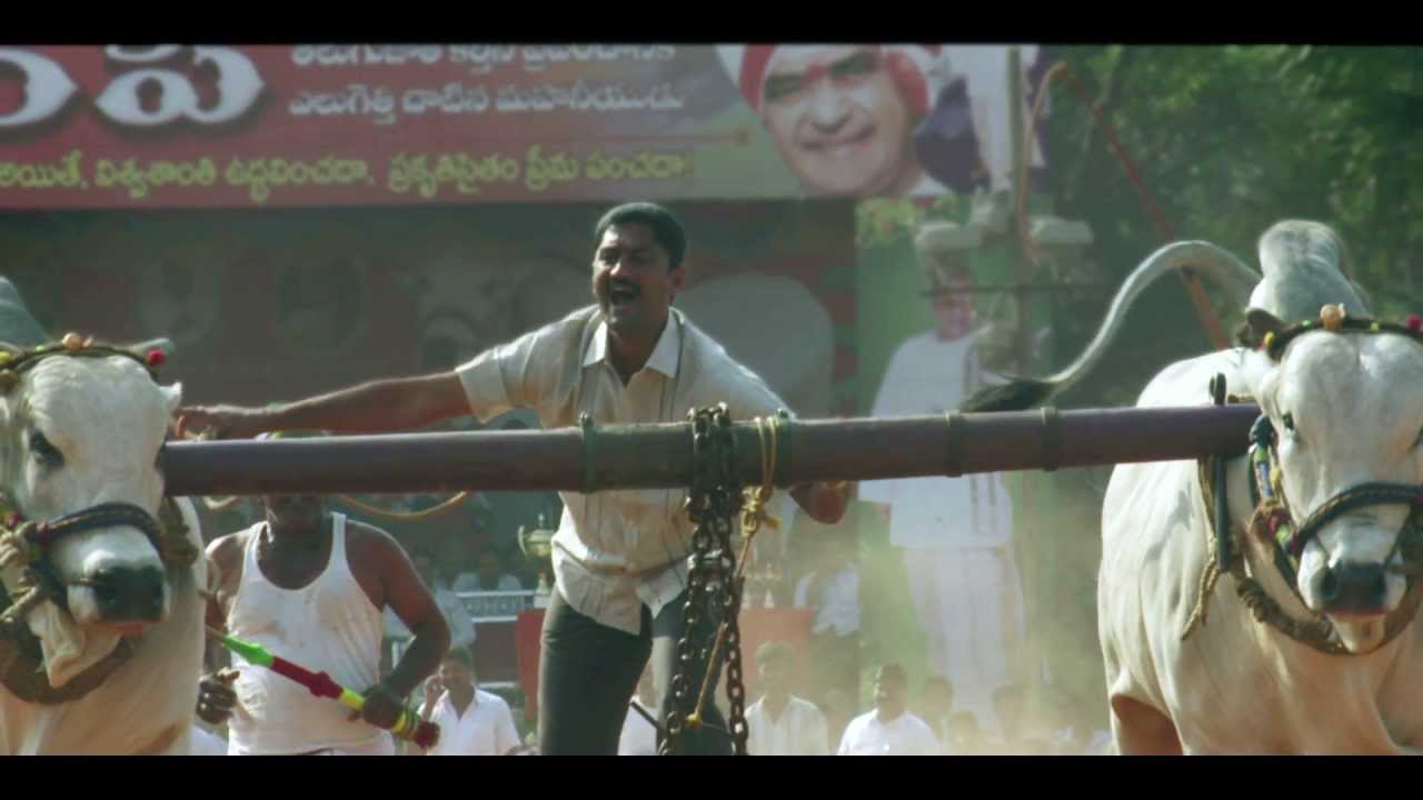 Most Amazing Video(Bull Race) - YouTube