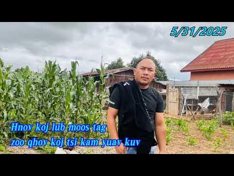 Hnov koj lub moos tag zoo kawg qhov koj tsi kam yuav kuv 11 - YouTube