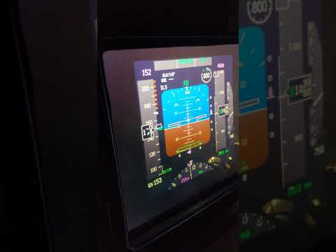 Boeing 737-800 PFD close up during landing at Bologna - YouTube