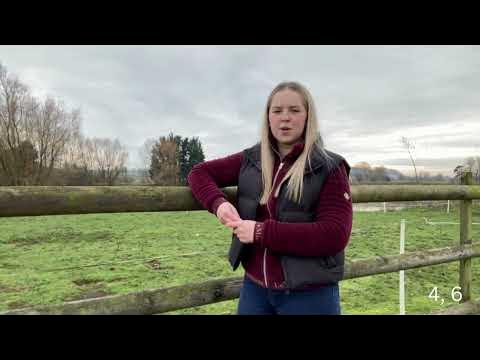 The Pregnant Mare Urine Industry- Summative Assessment - YouTube