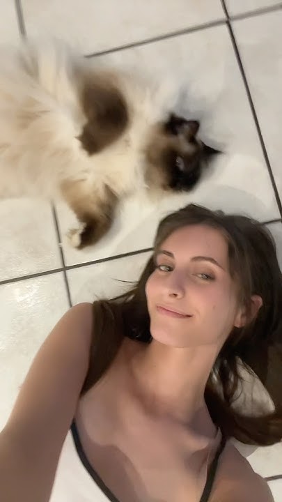 Grrr le chat 😂🤌 comment s’appelle mon chat ? #shorts - YouTube