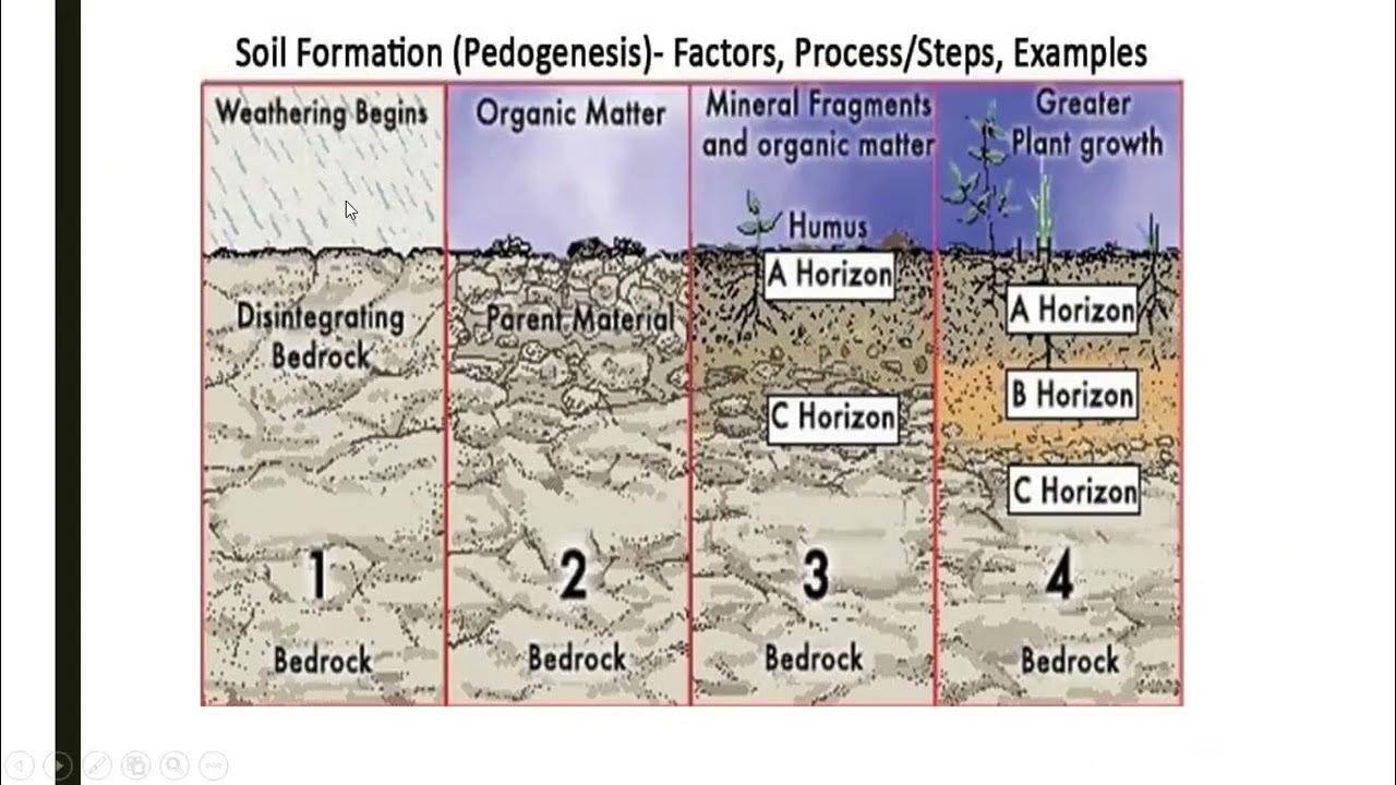Class 2 - Soil Science (TNPSC AAO/AHO EXAM) - YouTube