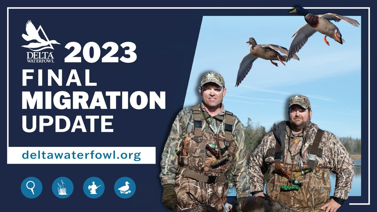 Final 2023 Migration Update | Delta Waterfowl - YouTube