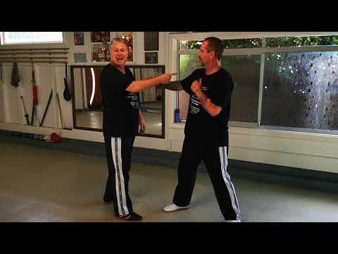 Yang Family Tai Chi applications Step Up Parry and Punch with Lao Shi Damon Bramich