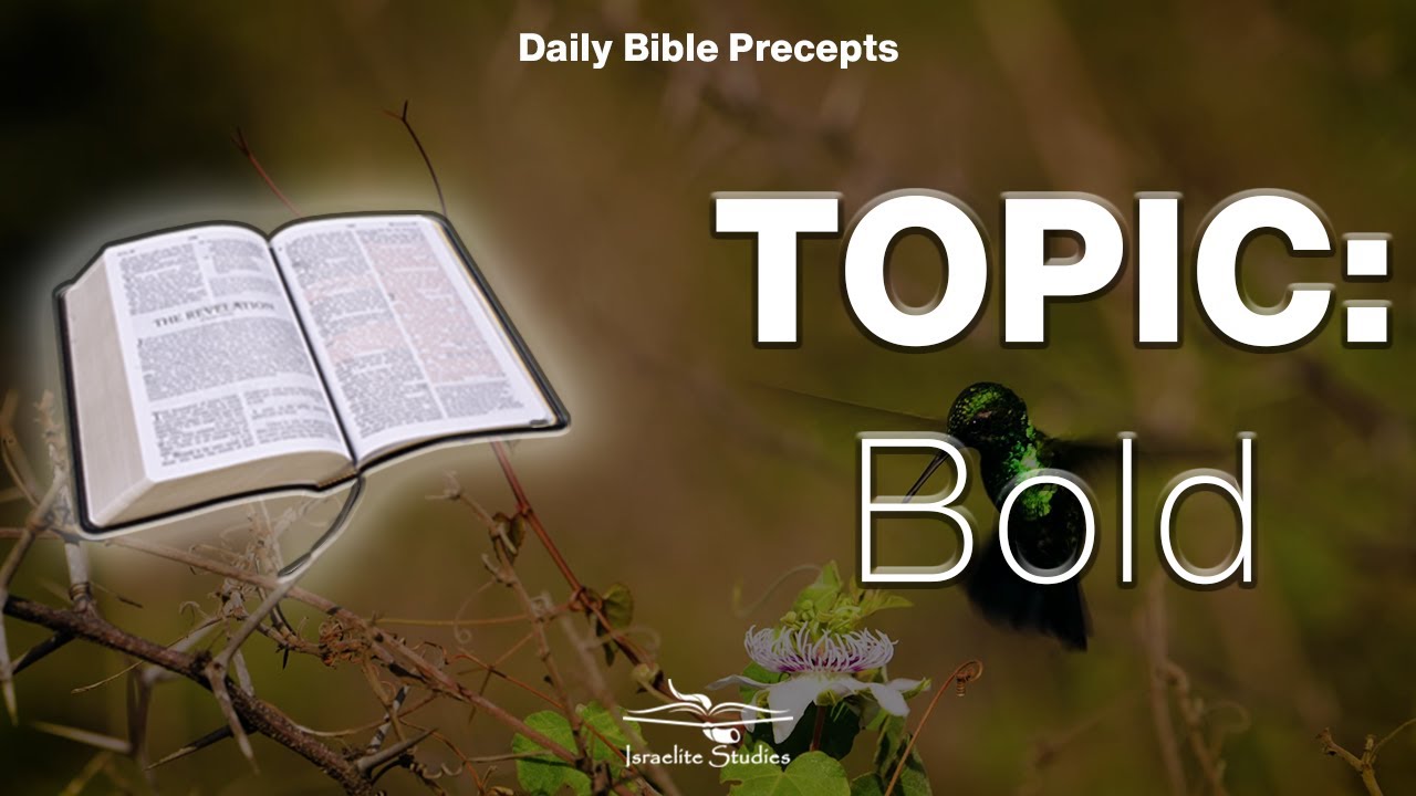Daily Bible Precepts | Word Topic: Bold | Part 2 - YouTube