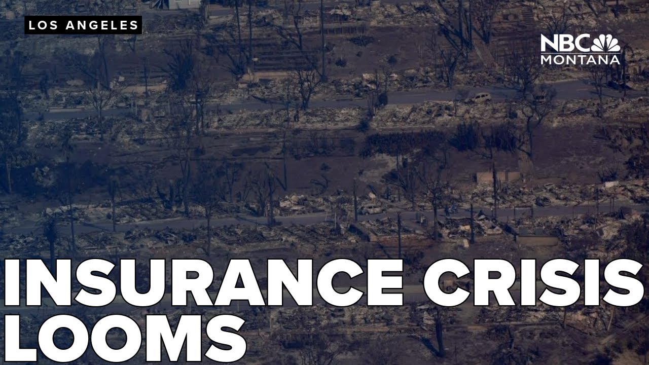 Insurance crisis looms in California as fires ravage communities - YouTube