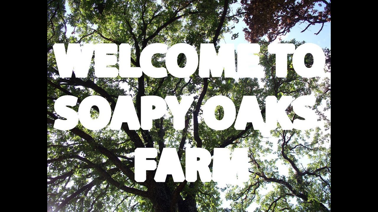 Soapy Oaks Farm - About The Farm - Home Made Soap & Organic Gardens ...