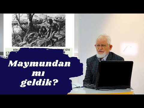 MAYMUNDAN MI GELDİK? | Prof. Dr. Adem Tatlı