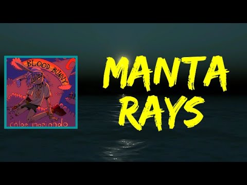 chloe moriondo - Manta Rays (Lyrics) - YouTube