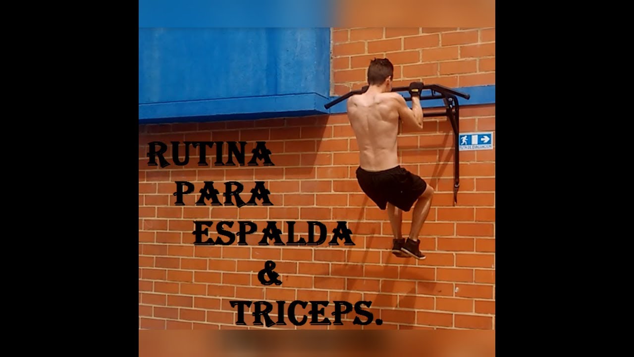 Ejercicios para Espalda y Triceps con tu Propio Peso Corporal. - YouTube