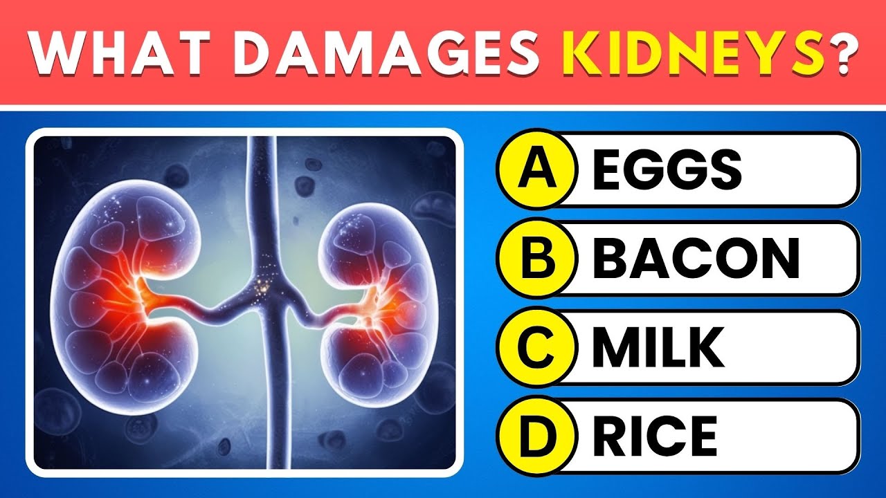 Can You Pass This Human Body Quiz? 🧠 30-Question Anatomy Trivia! - YouTube