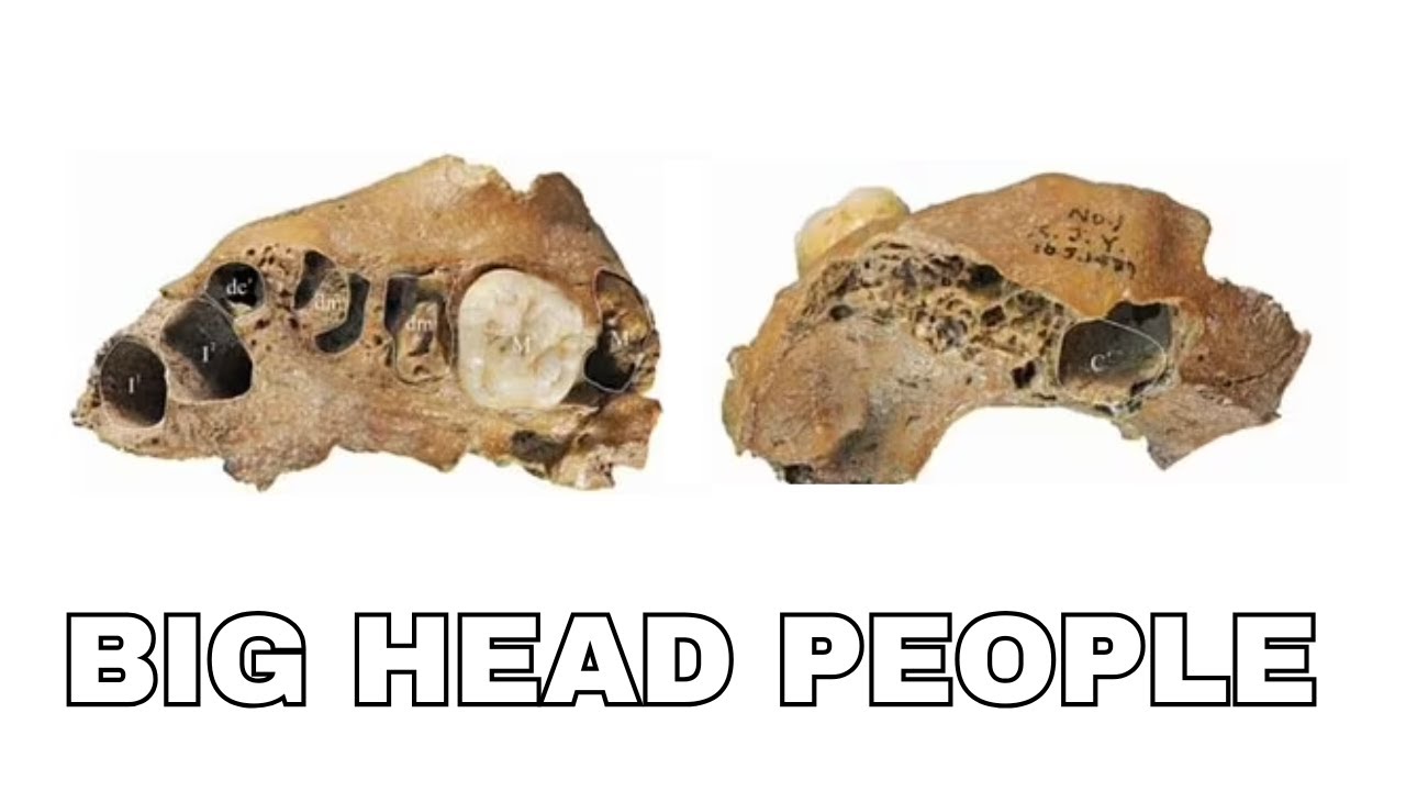 Meet the Ancient 'Big Head' People - YouTube