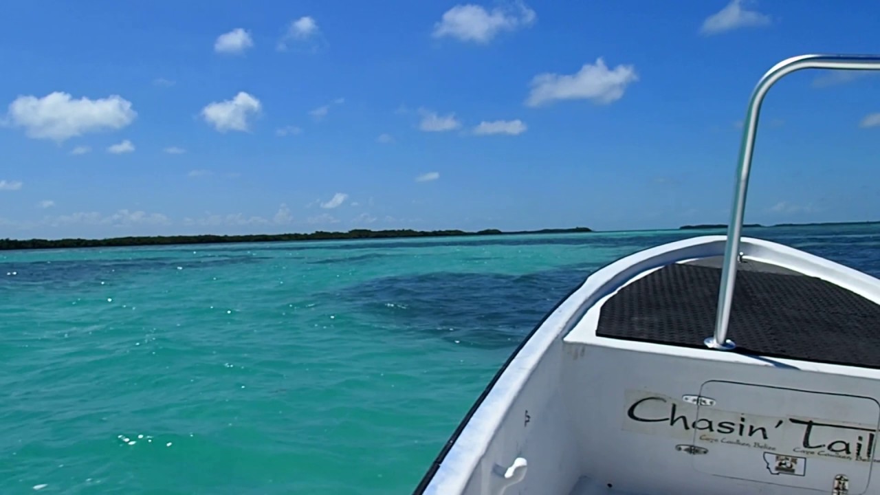 Belize Flats with Dennis of Chasin' Tail 2016 - YouTube