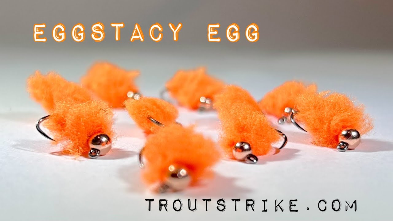 Eggstacy Egg: My Favorite Winter Fly - YouTube