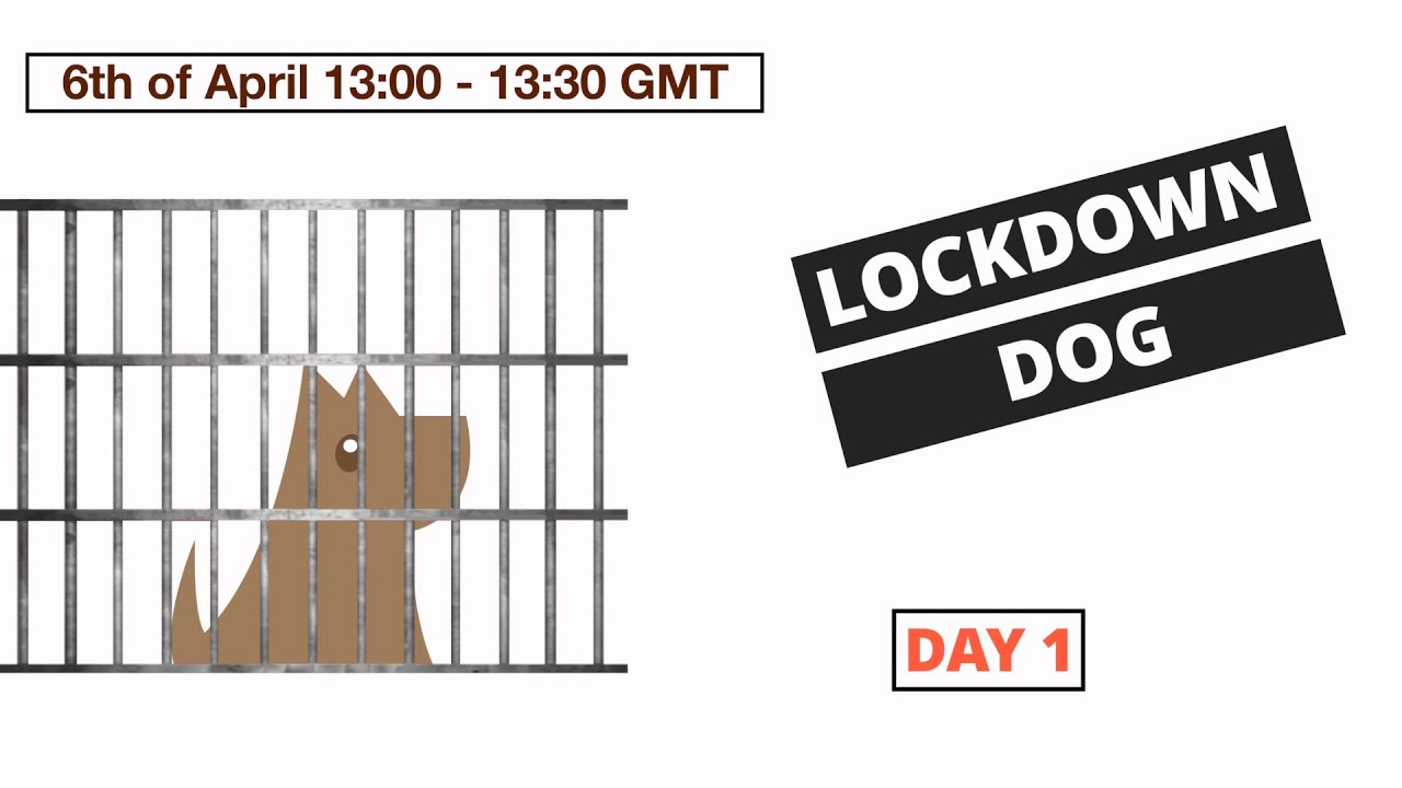 Dog's needs & breaking down problem behaviour in manageable chunks ...