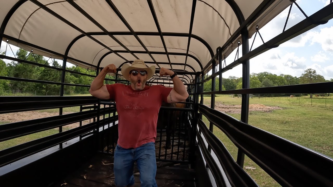 The Jumping Bull - YouTube