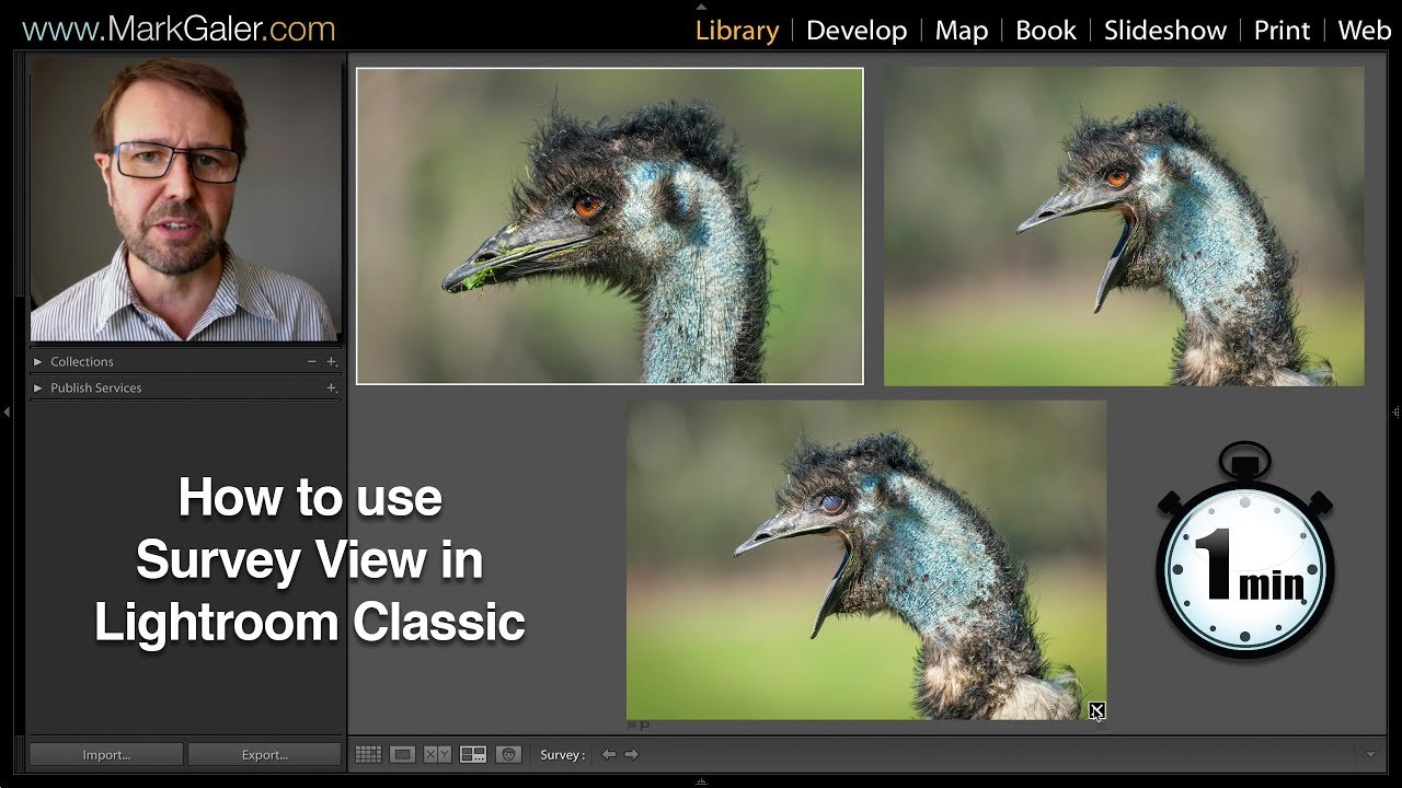 Lightroom Classic: How to use Survey View - YouTube