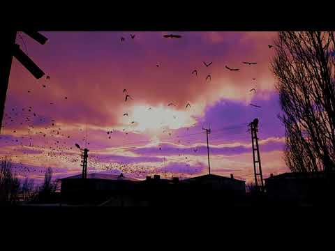 Bu kalp seni unuturmu🎵❤