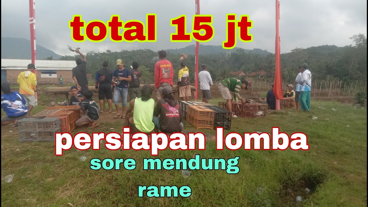 persiapan lomba merpati totalan 15jt sore mendung rame@matamajenang ...