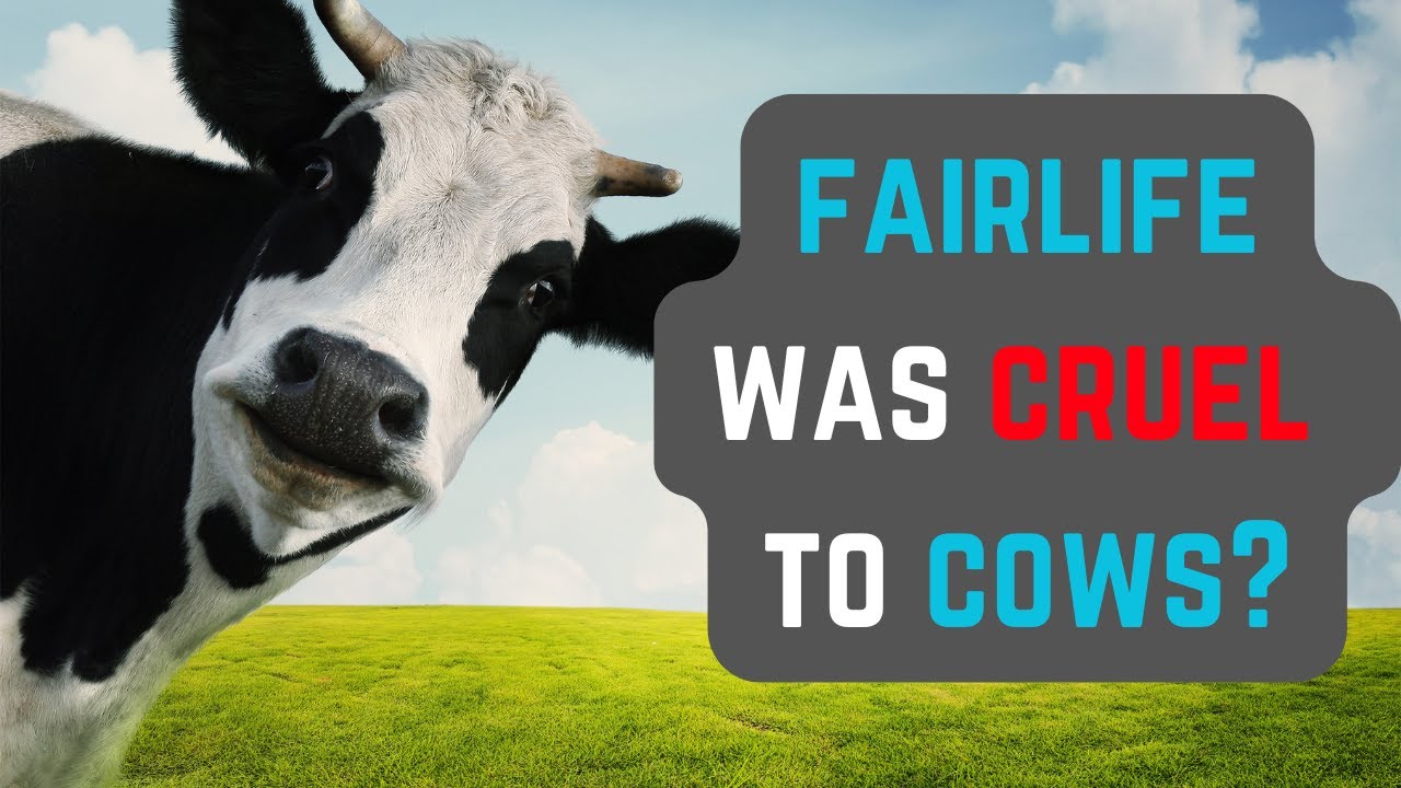 FAIRLIFE MILK Dumps Abusive Dairy Farms! - YouTube
