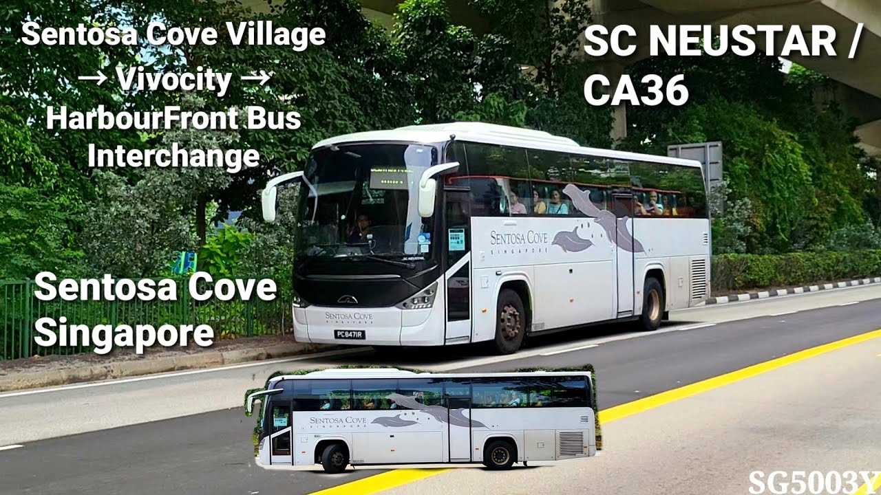 Sentosa Cove Singapore Bus [Public][SC NEUSTAR / CA36][Joyride] - YouTube