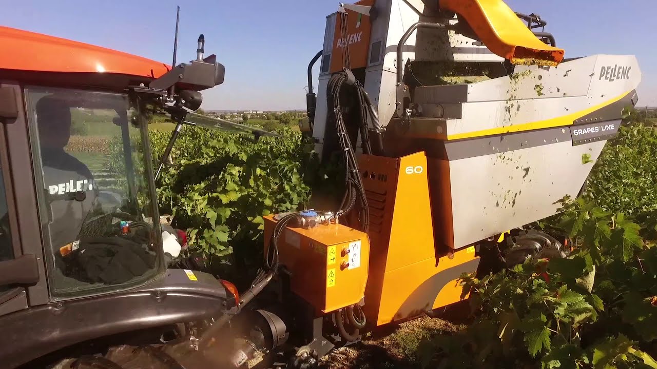 Machine à vendanger Tractée GRAPES’LINE | PELLENC - YouTube