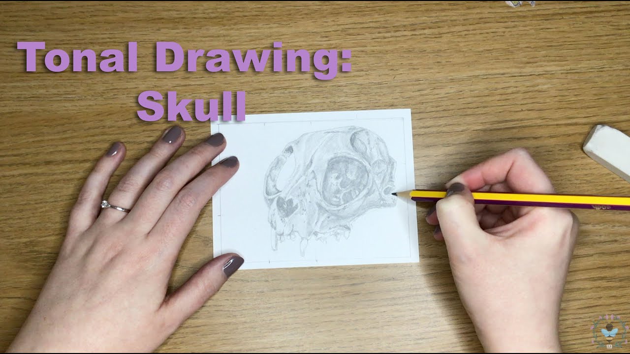Tonal Drawing: Skull - YouTube