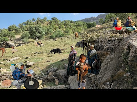 Göçebe Hayatı: Zagros'un Göçebe Kızları | Göçebe Kadınların Gücü ve Mücadeleleri🏔️❤️