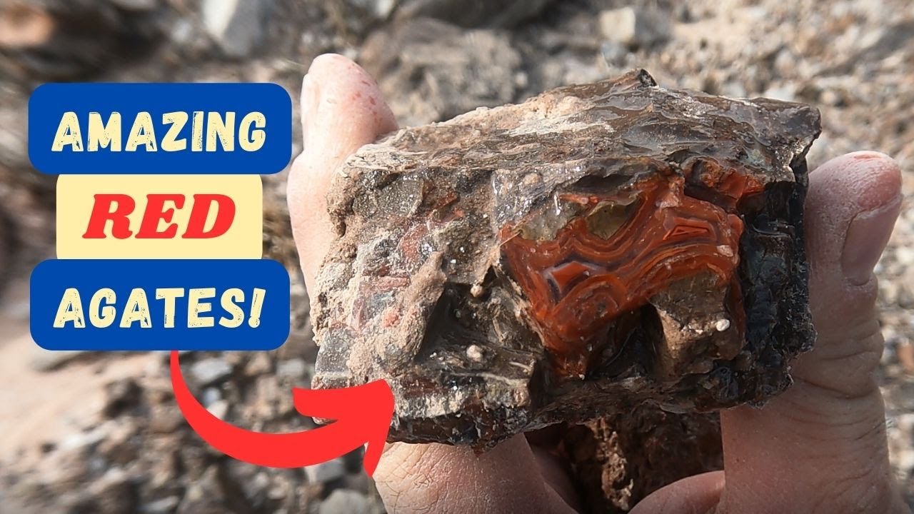 Rockhounding for Red Agate and Petrified wood at Yellow Cat! - YouTube