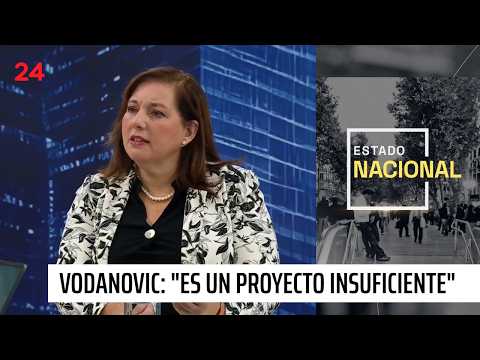 Paulina Vodanovic y su visión respecto a la ley de combustibles: \