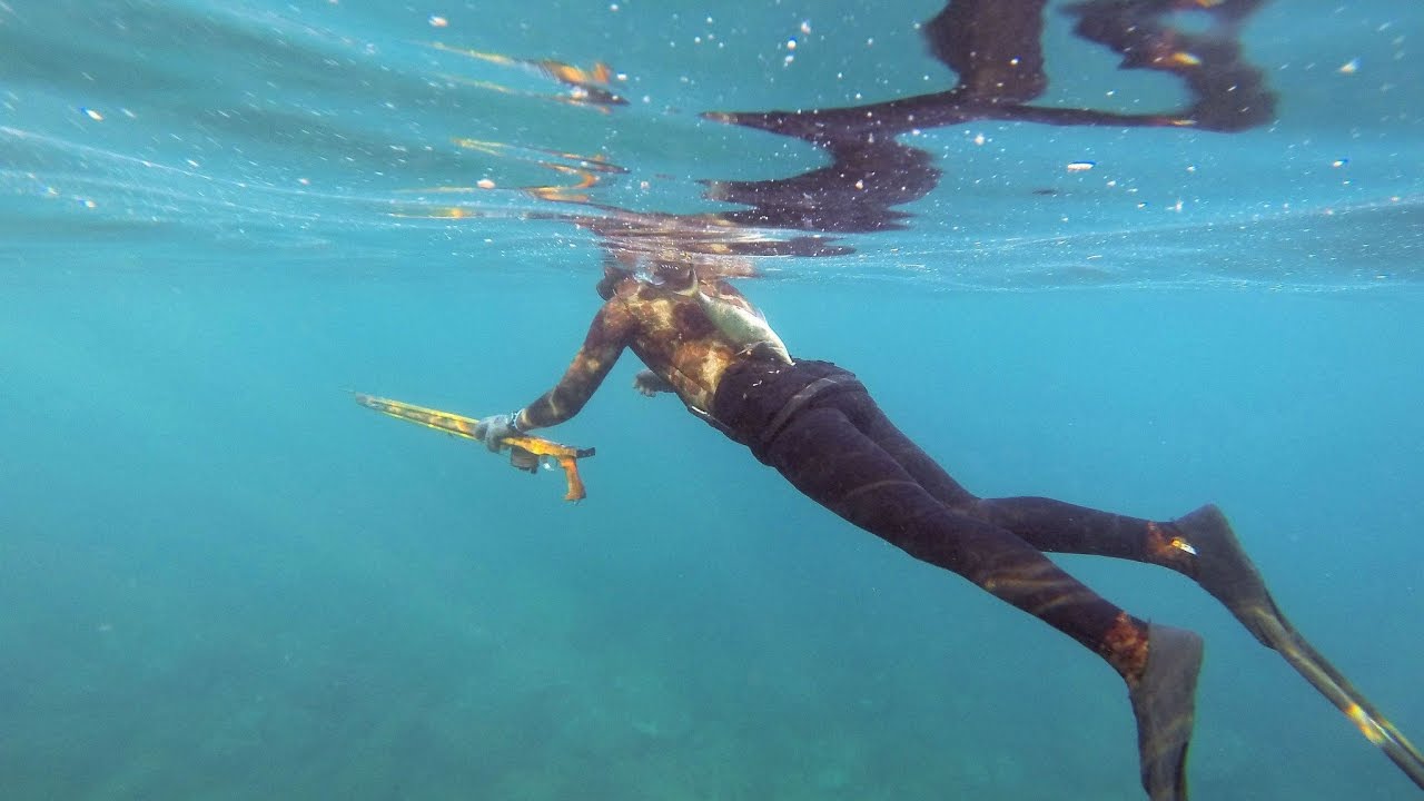 Pesca sub: Sarago pizzuto - YouTube