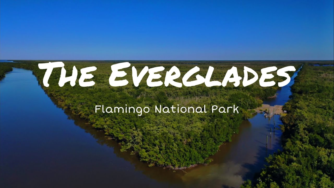 The Everglades | Back country fishing in Flamingo National park ! - YouTube