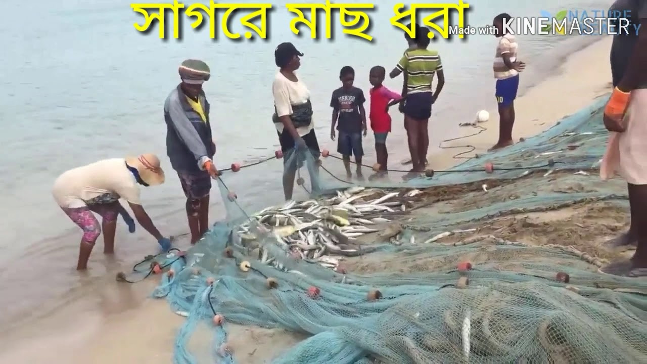 amazing Best net Fishing - People Catching Fish - YouTube