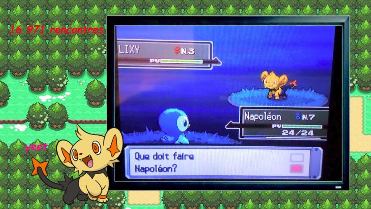 [WSHC 2018-19 #2] shiny shinx/Lixy Chromatique en 16 971 rencontres sur ...