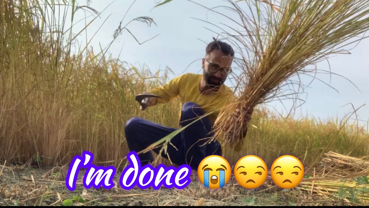 Khtm hasa gaye , Daane Loonan loonan!! Khud kaatayi ki . 😭🥵. #kashmir # ...