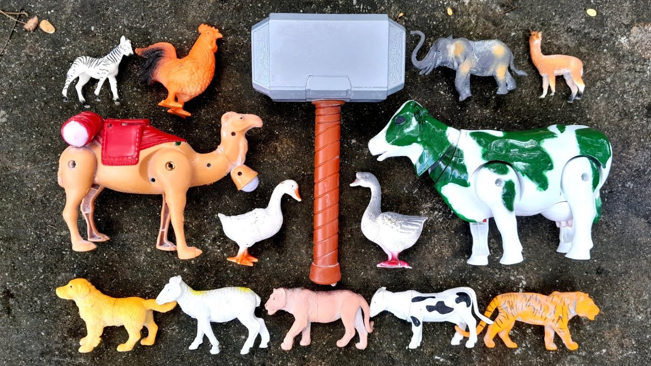 Menemukan hewan sapi | bebek | angsa | unta | zebra | keledai | harimau ...