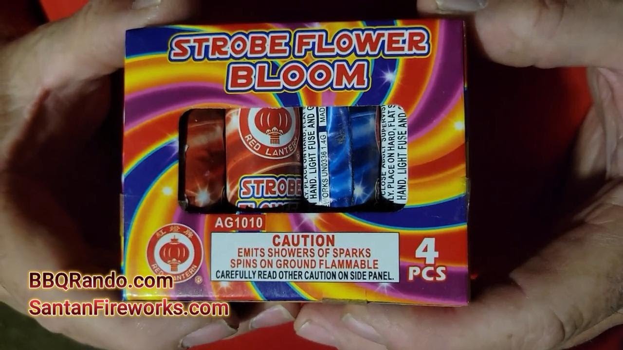 Strobe Flower Bloom - Red Lantern Fireworks - YouTube