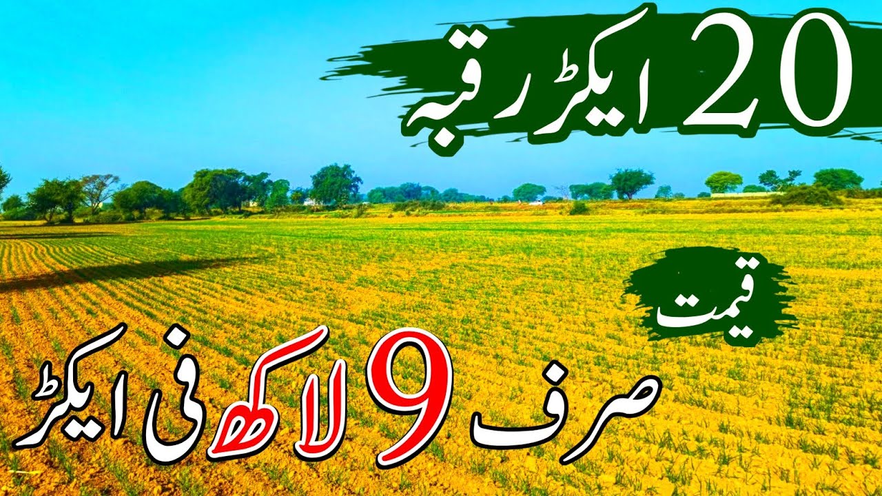 20 Acres Agriculture Land For Sale | Best Low Price land in Punjab ...
