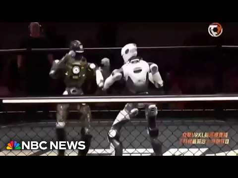 Inside the world of robot fight clubs