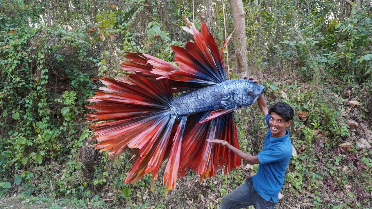 world biggest fighter fish 🐠| വലിയ ഫൈറ്റർ ഫിഷിനെ ഉണ്ടാക്കി | Betta fish ...
