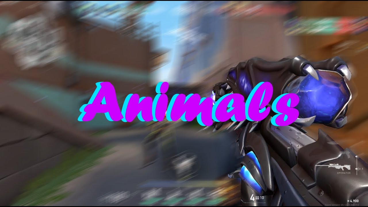 Animals - VALORANT Montage - YouTube