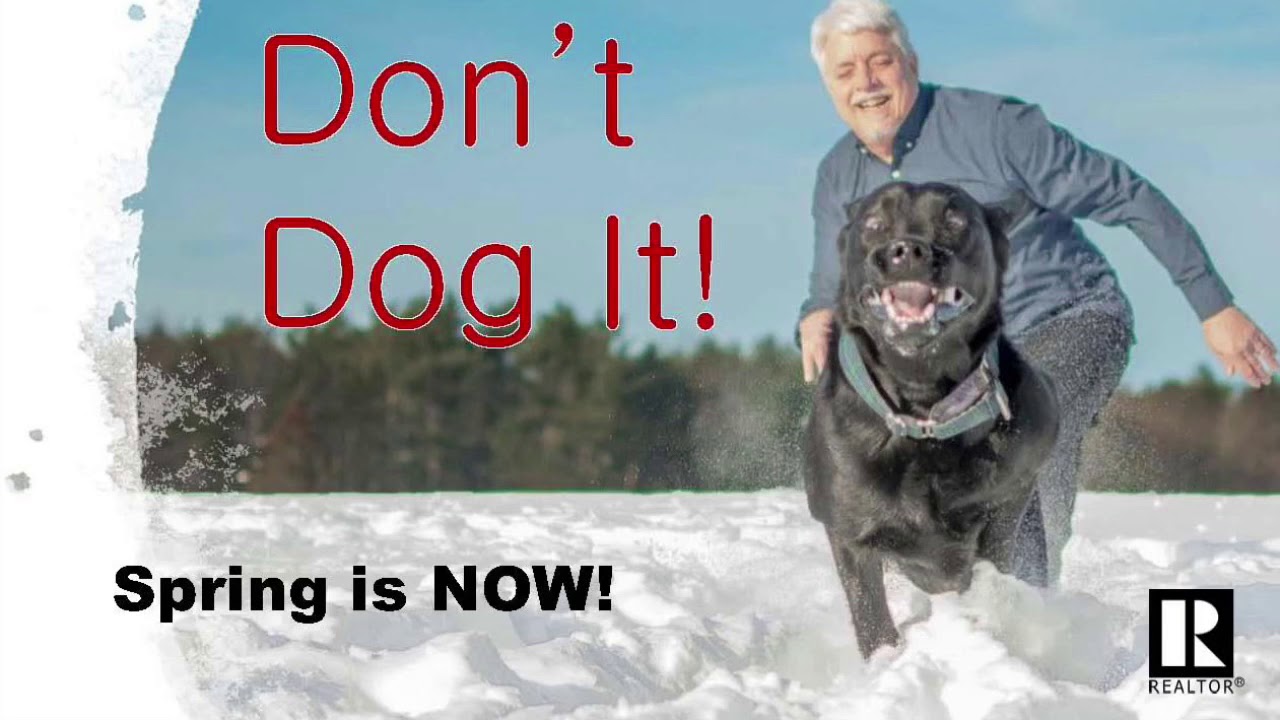 Spring is NOW! - YouTube