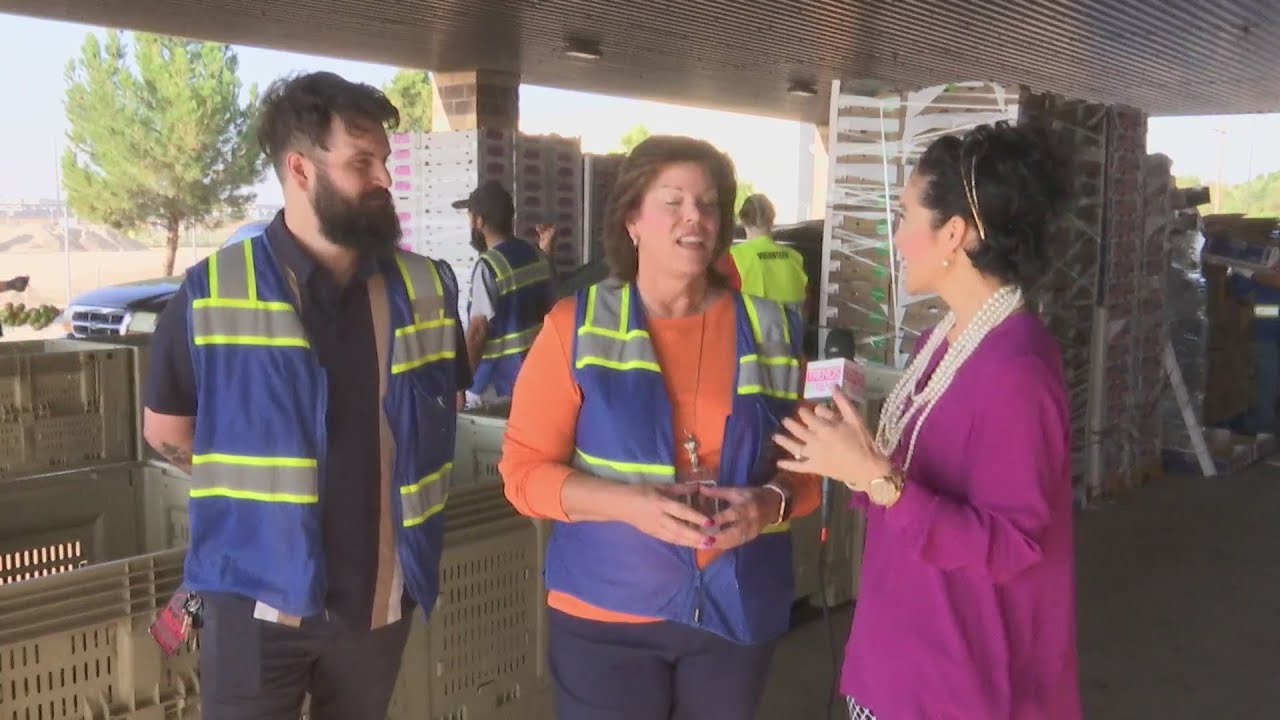 Senior Box Houston Food Bank at Daria Willis blog